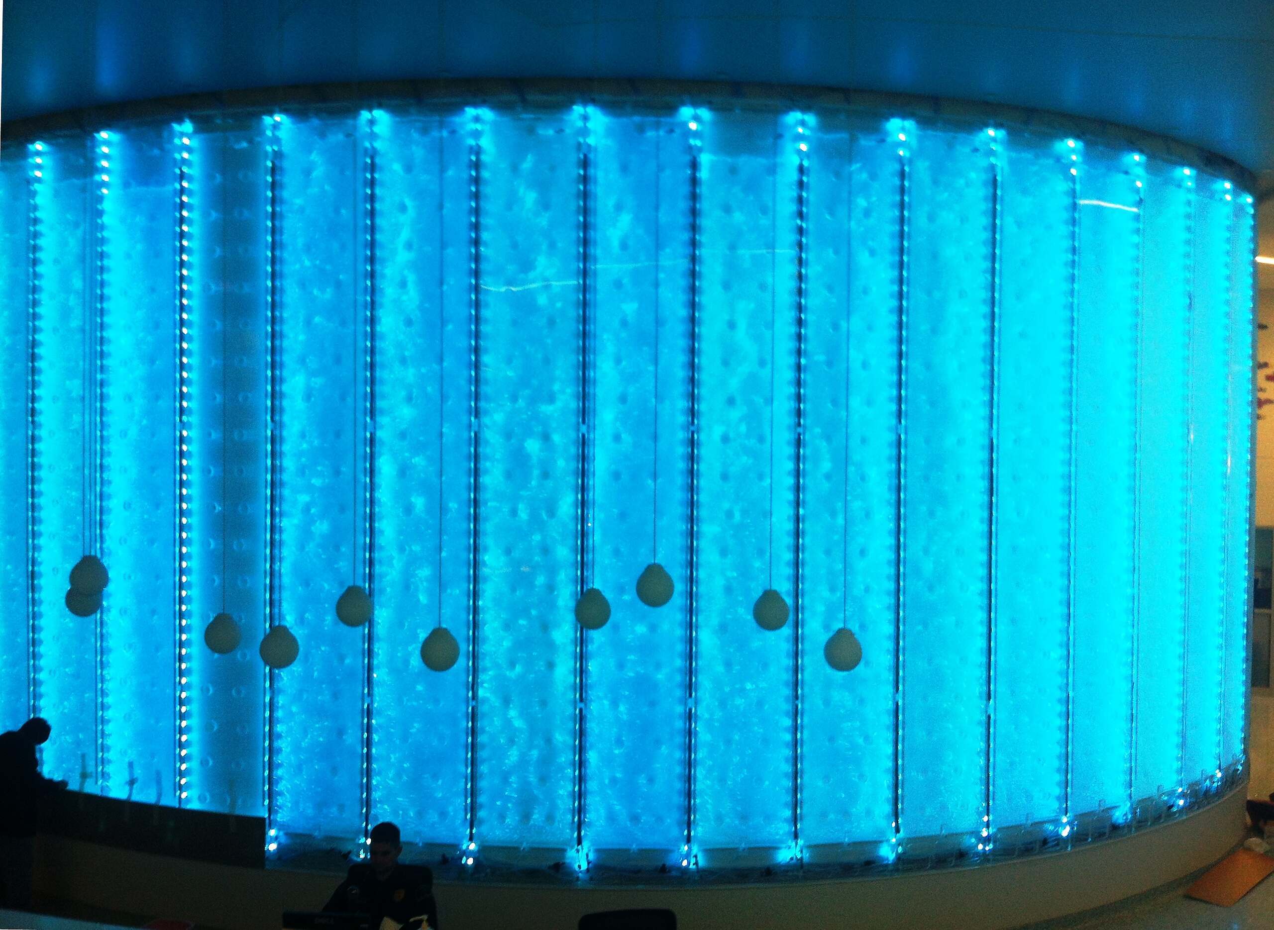 50 Foot BubbleWall - DeVoss - Midwest Tropical