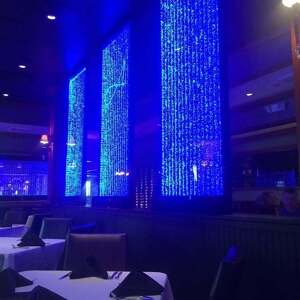 Custom Vertical Chamber Bubble Walls | Midwest Tropical