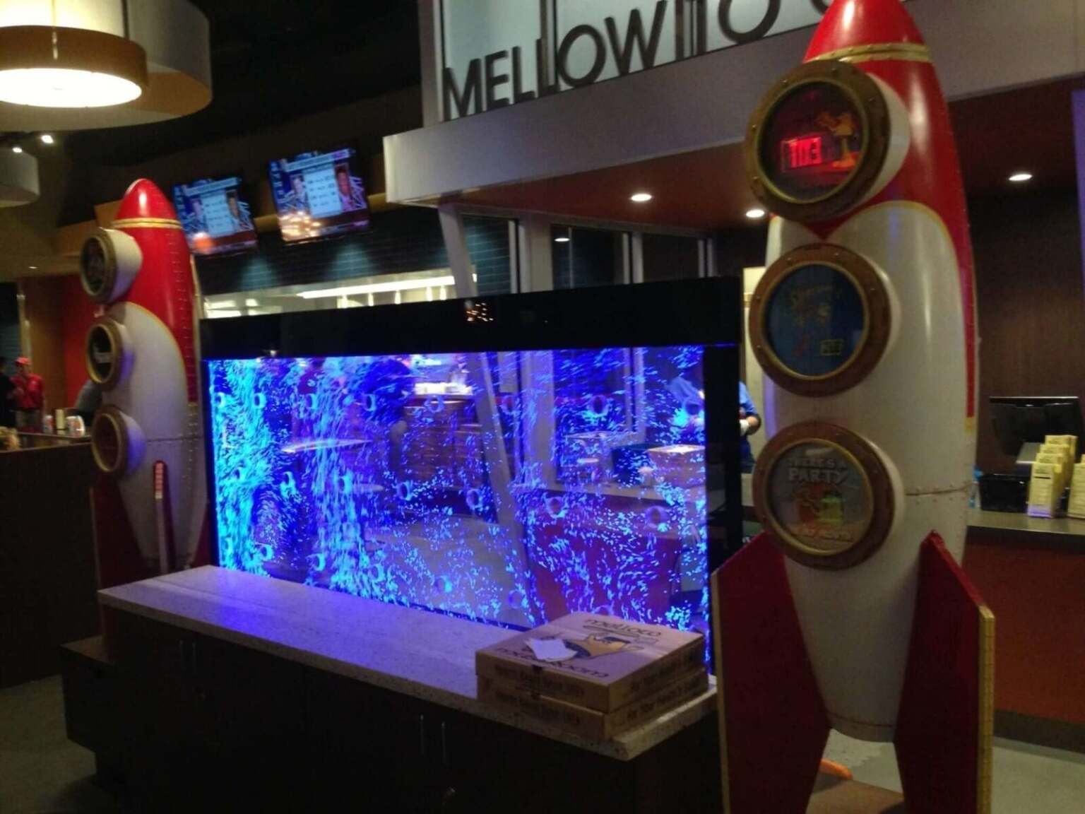 Custom Indoor Water Feature Gallery | Midwest Tropical