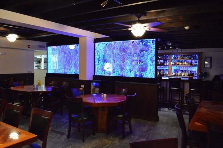 Custom Indoor Water Feature Gallery | Midwest Tropical